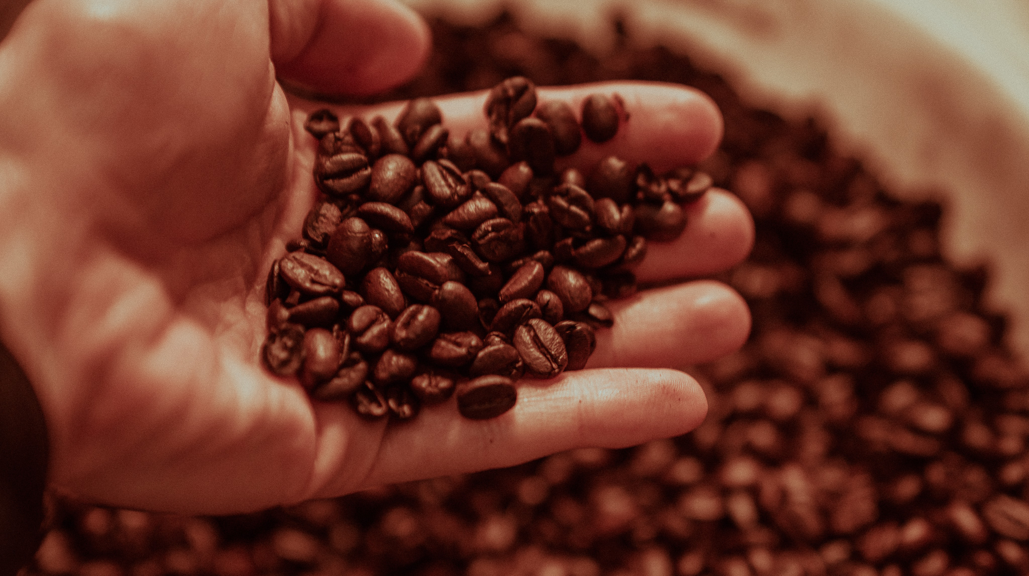 Identifying and avoiding common roasting defects
